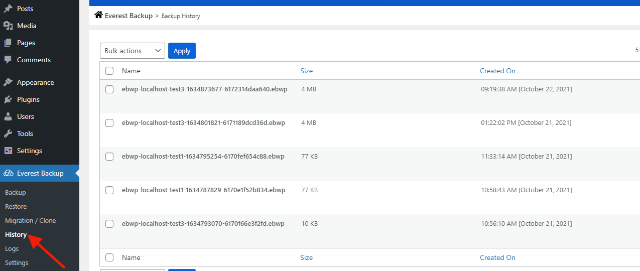 How to Backup Manually using Everest Backup Plugin? (2023)
