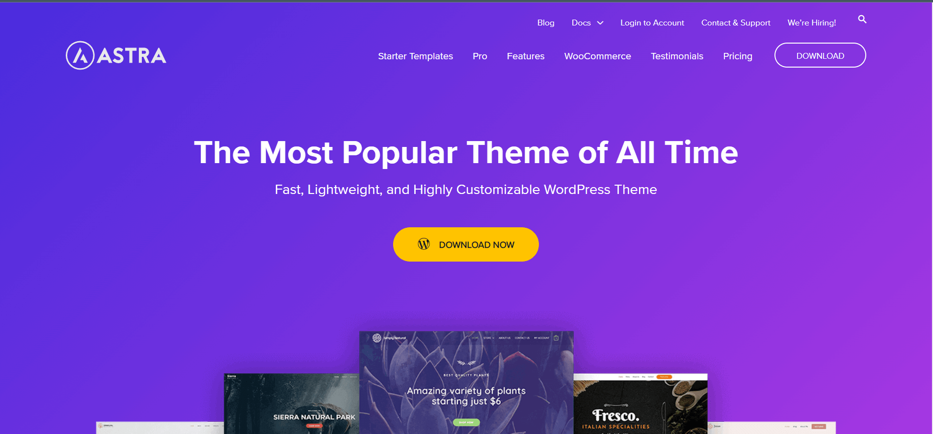 Top 5 Dynamic And Lightweight Wordpress Themes Everest Backup Wordpress Backup Plugin