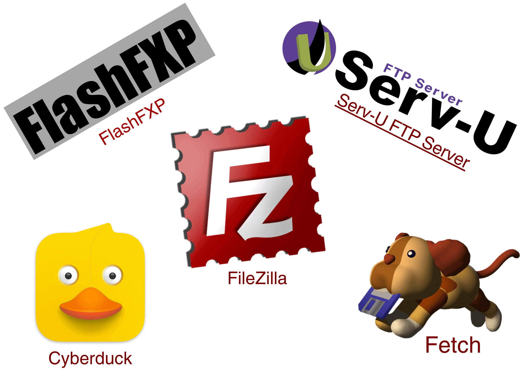 How to Use FTP to Upload and Manage Files on a WordPress Site?